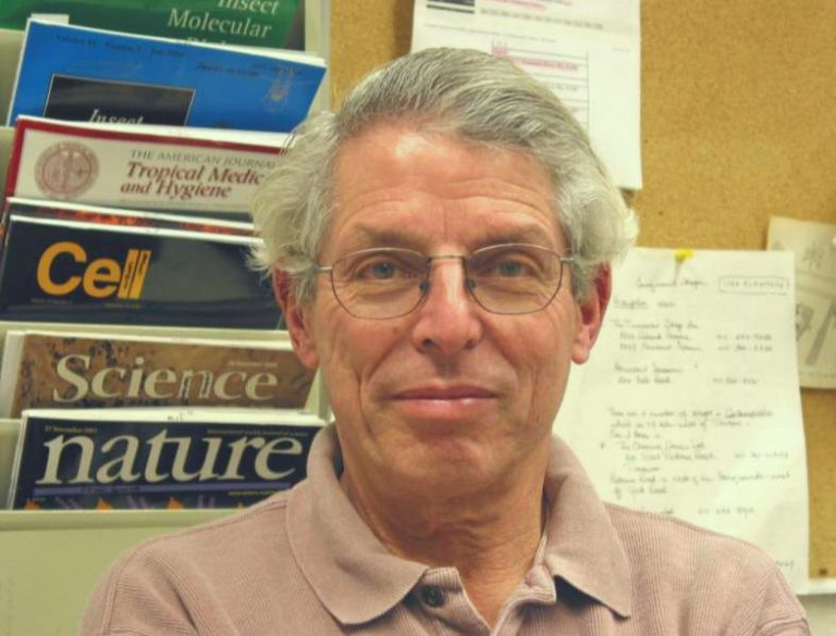 Um professor brasileiro na Johns Hopkins School of Public Health ...