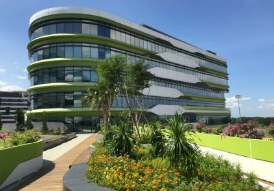 O que é PhD? Entenda o significado de PhD e o conceito por trás do título